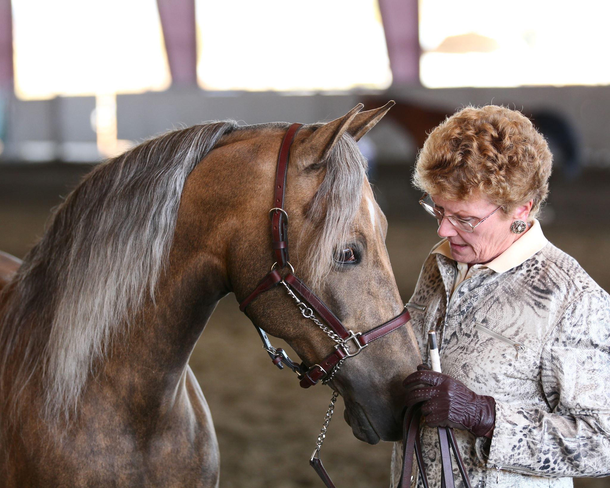 Candy Morasch – Once Upon A Horse | Grants Pass VIP Podcast